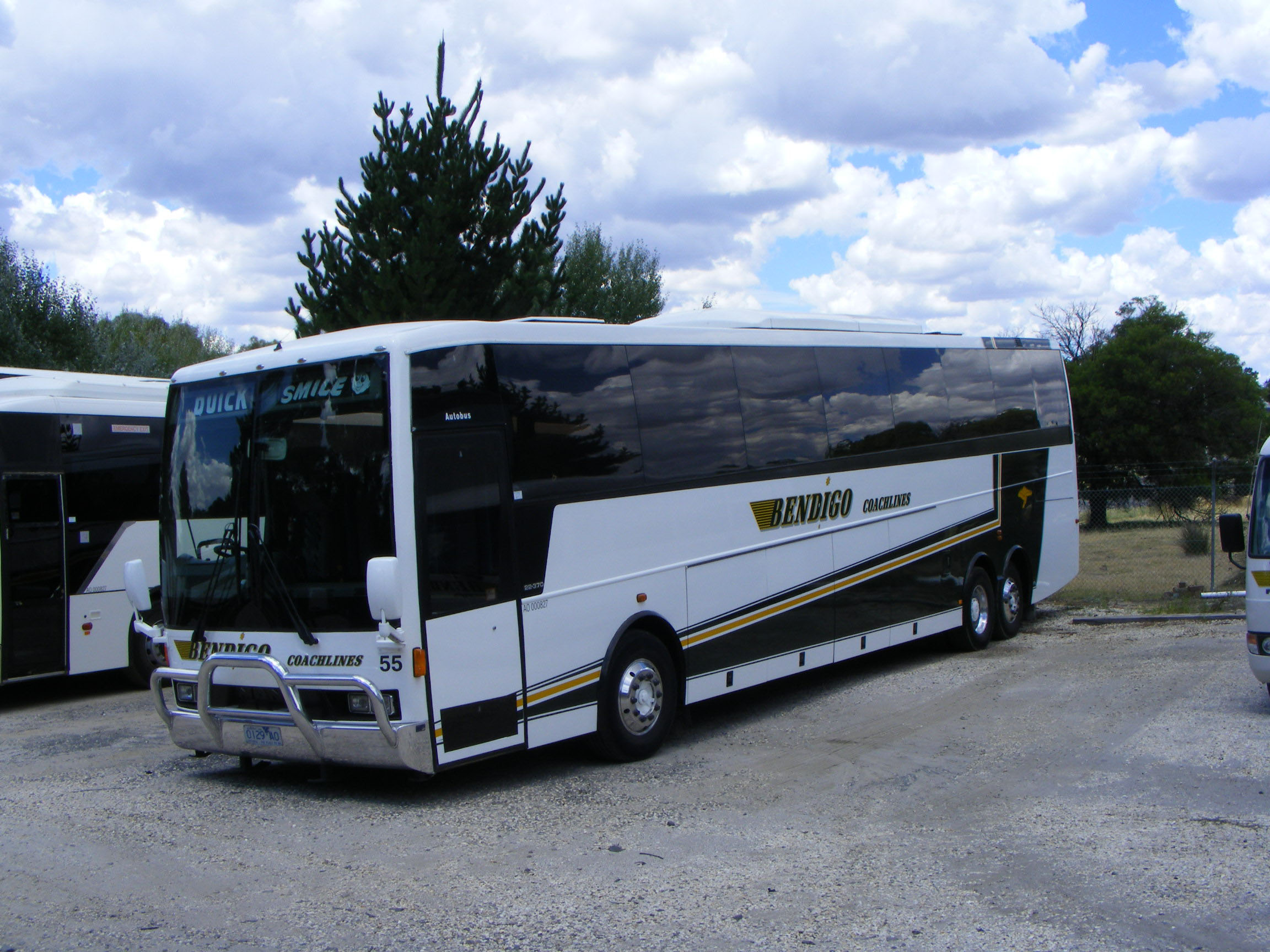 Bendigo Coachlines Australia SHOWBUS BUS IMAGE GALLERY Victoria